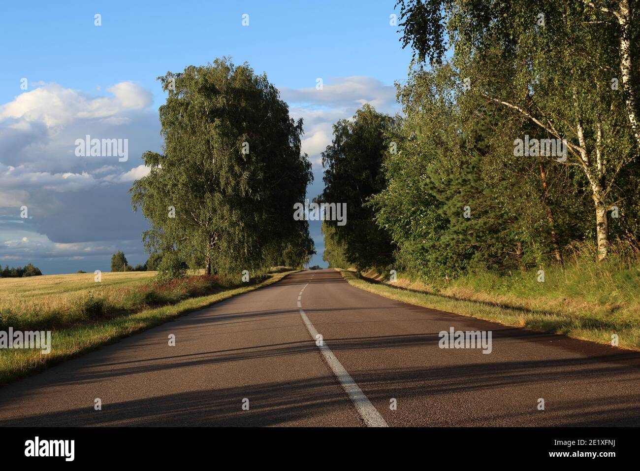 Driving in the summer hi-res stock photography and images - Alamy