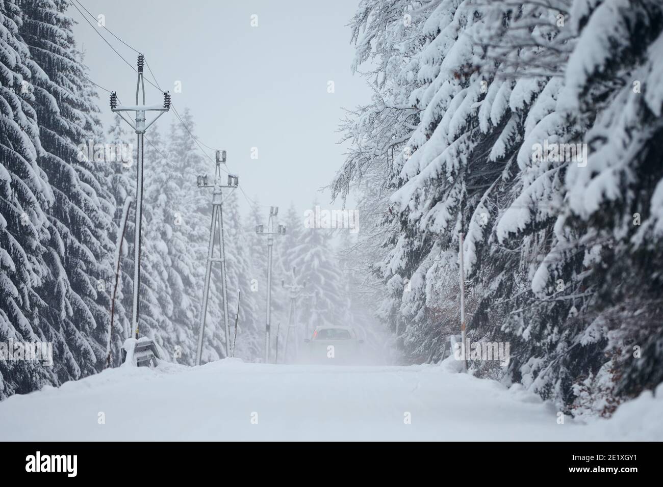 Snowing on forest road hi-res stock photography and images - Alamy
