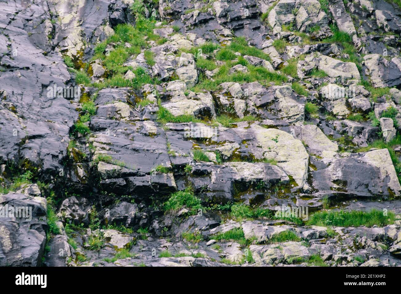 Hillside covered with rocks and green grass Stock Photo - Alamy