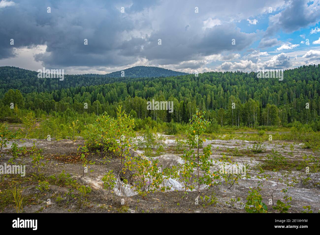 Abandoned talc quarry overgrown with trees and grass Stock Photo - Alamy