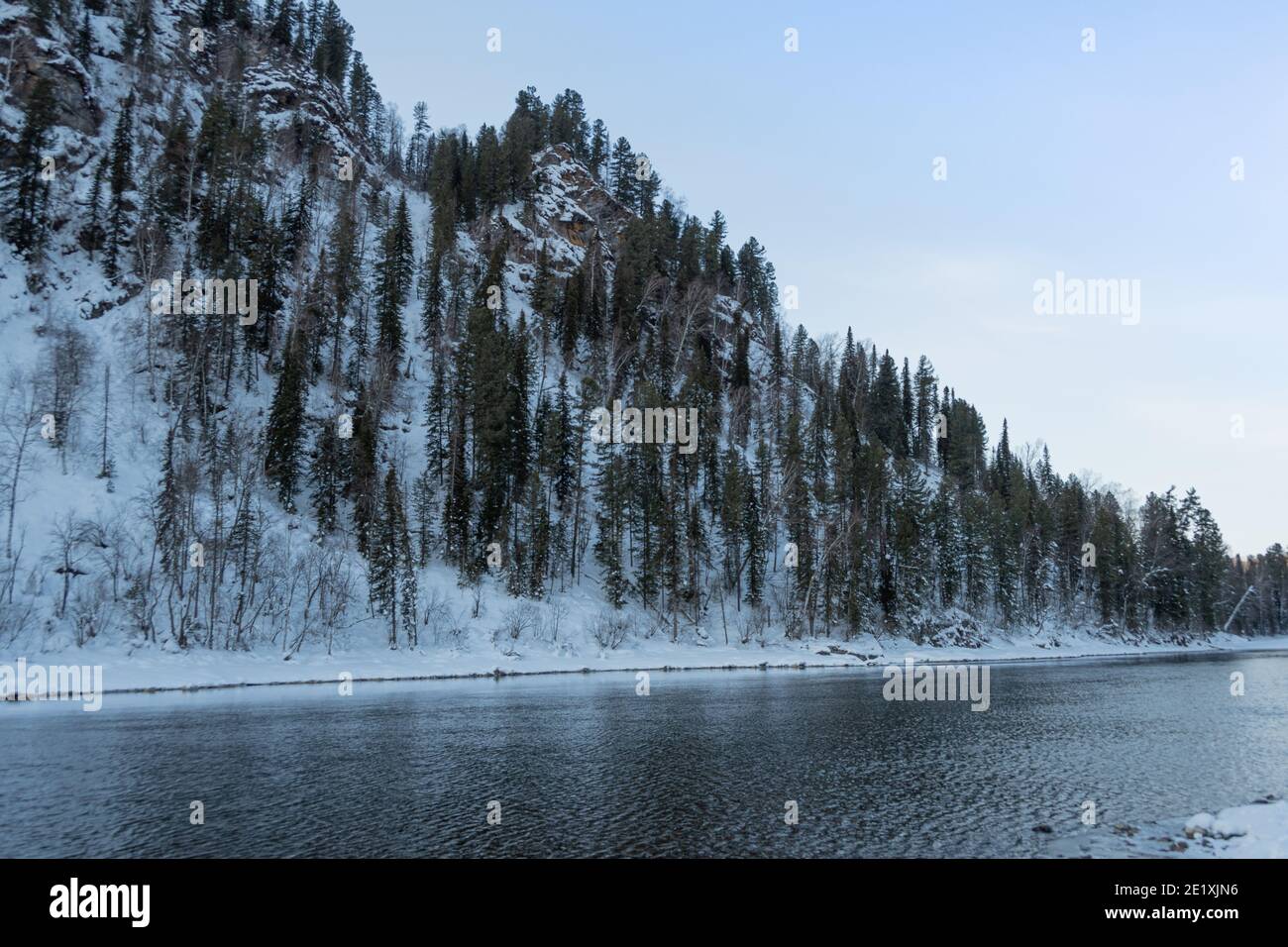 Snow forest on Bank of winter river. Reflection of frost trees in water ...