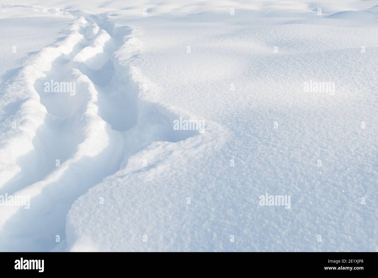 Narrow pathway through deep snow in snow field Stock Photo - Alamy