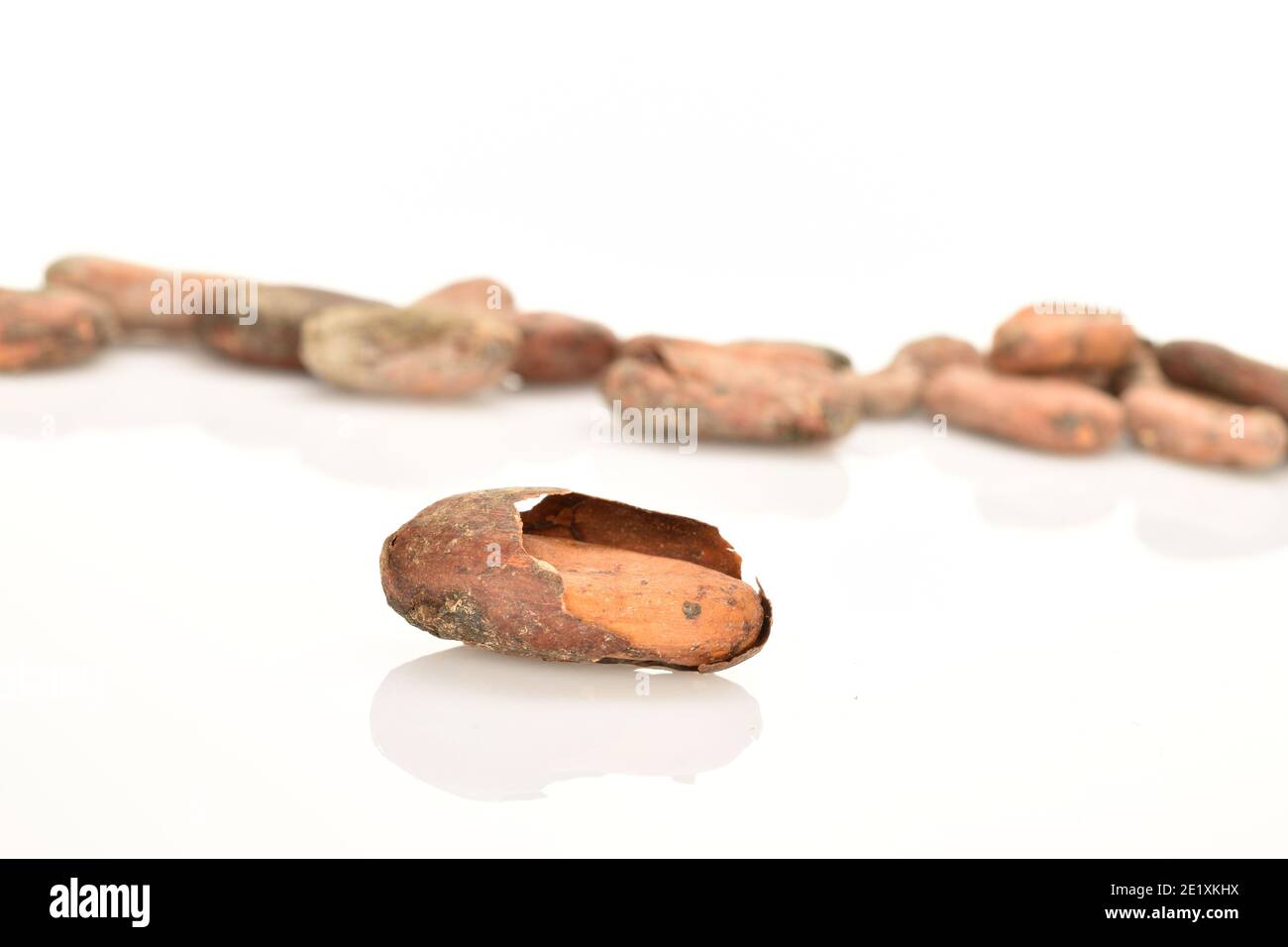 One peeled dried natural organic brown roasted cocoa grain on a white ...