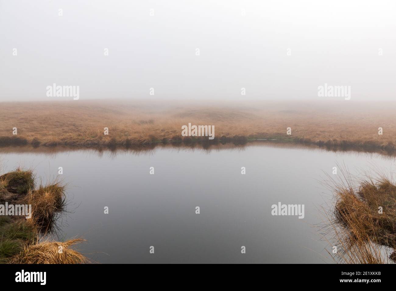A small pond on high moorland on Marsden Moor in the Peak District ...