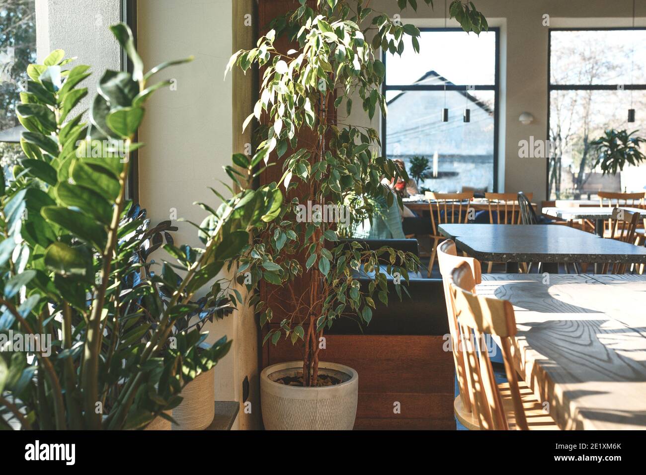Cafe plants windows hi-res stock photography and images - Alamy
