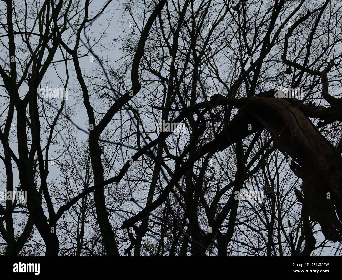 Specific perspective shot in the Treptower Park, Berlin. one ...