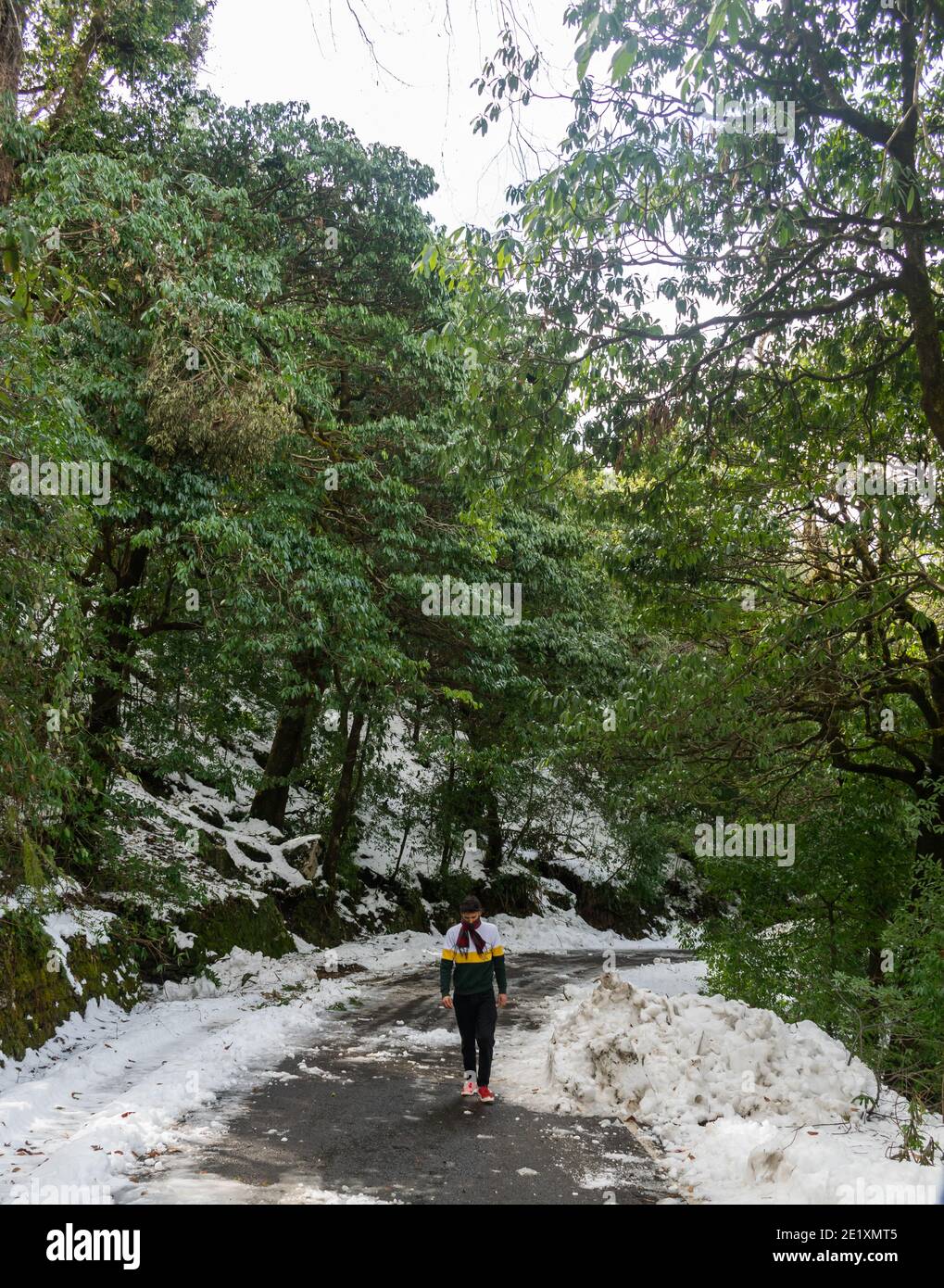 A little glimpse of the place chopta in uttarakhand with snow covered ...