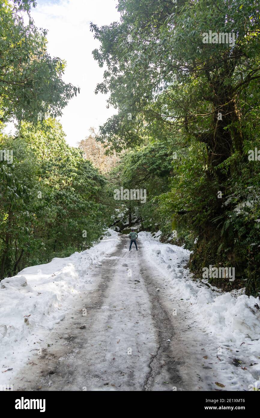 A little glimpse of the place chopta in uttarakhand with snow covered ...