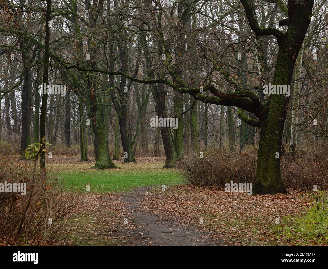 Specific perspective shot in the Treptower Park, Berlin Stock Photo - Alamy