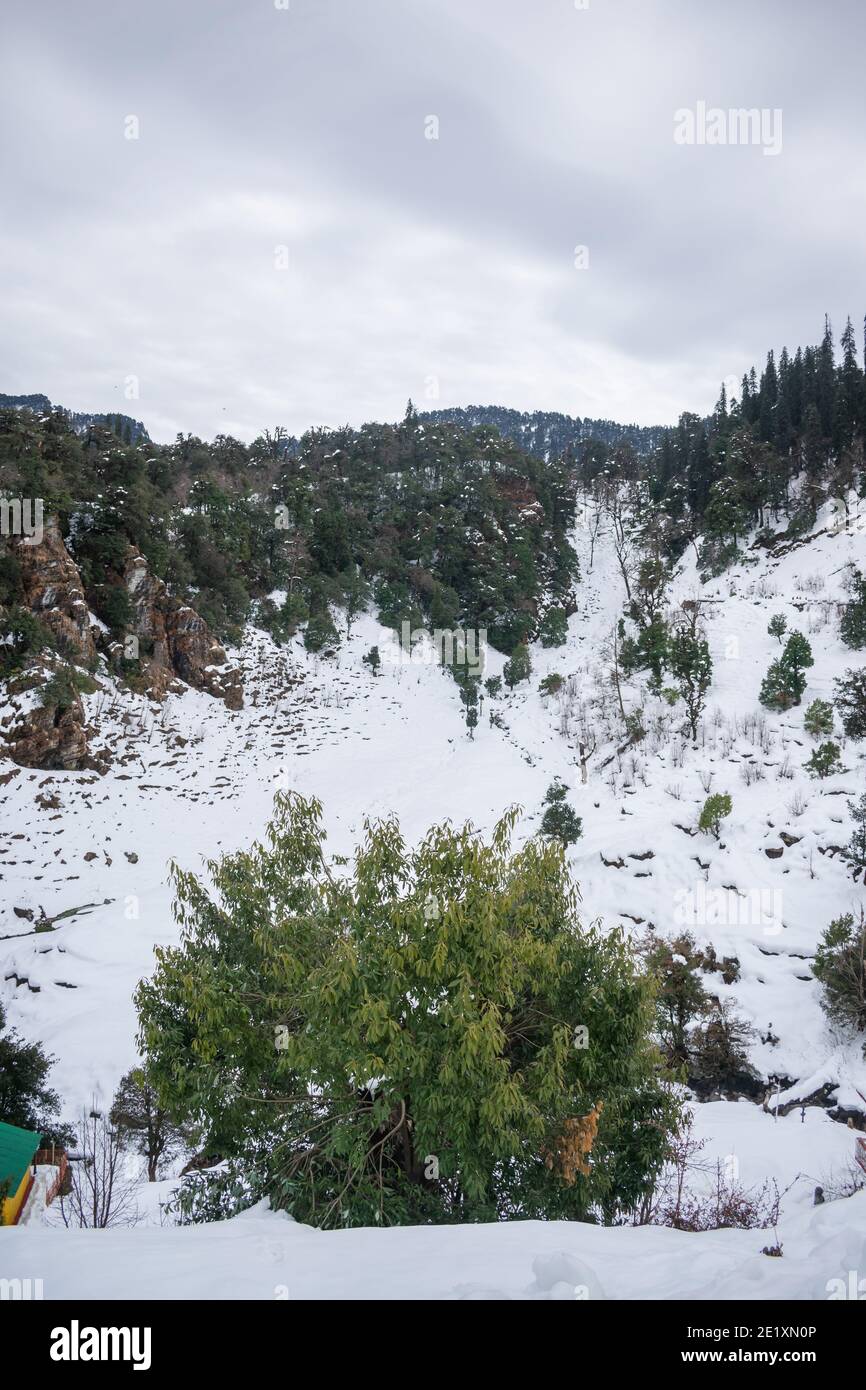 A little glimpse of the place chopta in uttarakhand with snow covered ...