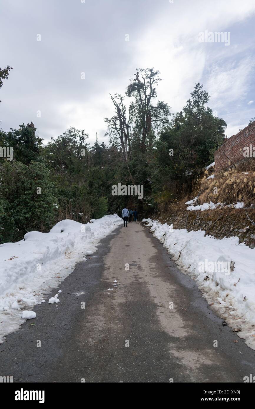 A little glimpse of the place chopta in uttarakhand with snow covered ...