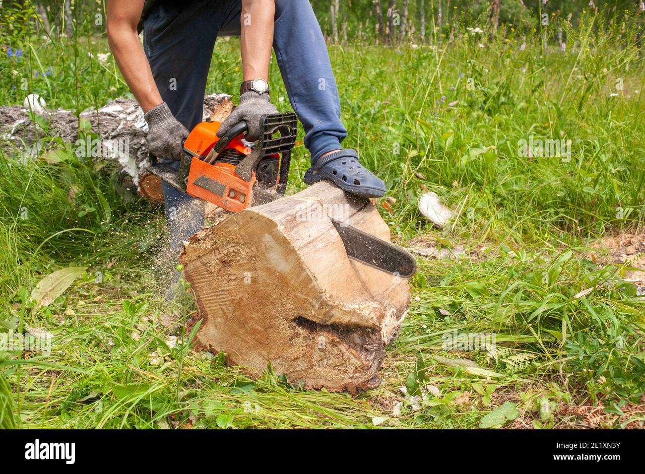 Chainsaw man cutting wood timber log hi-res stock photography and ...