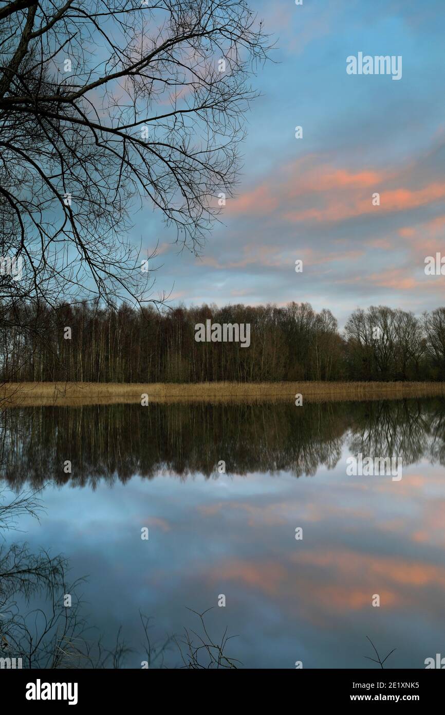 Winter sunset over Hinchingbrooke Country Park, Huntingdon town ...