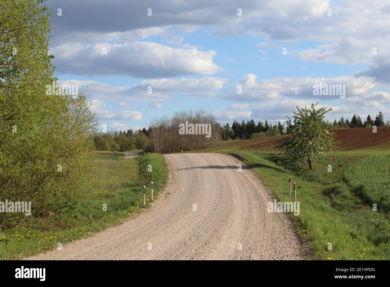 Empty forest road in spring hi-res stock photography and images - Alamy