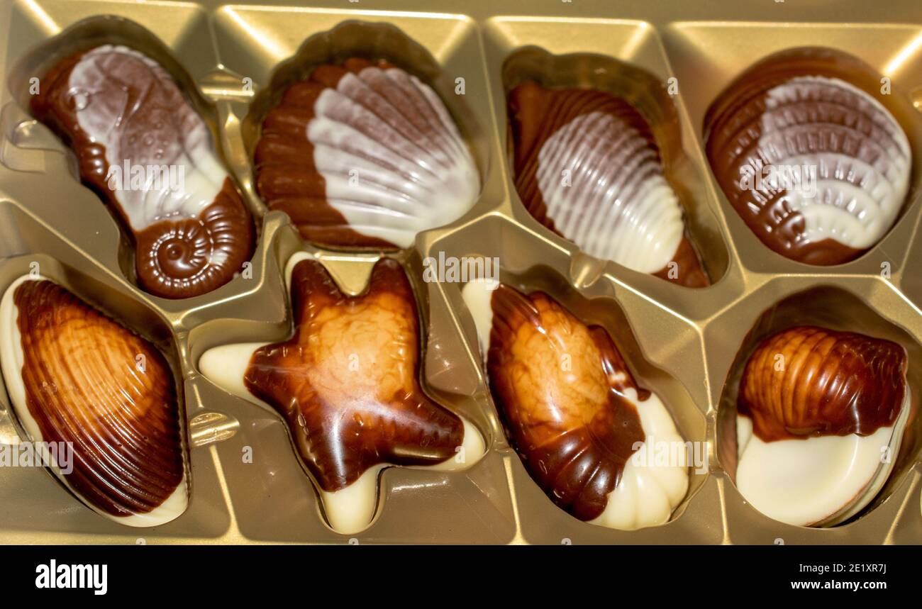 Belgian chocolate seashells hi-res stock photography and images - Alamy