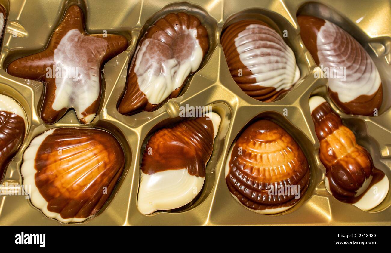 Belgian chocolate candies Seashells. Best quality Stock Photo - Alamy