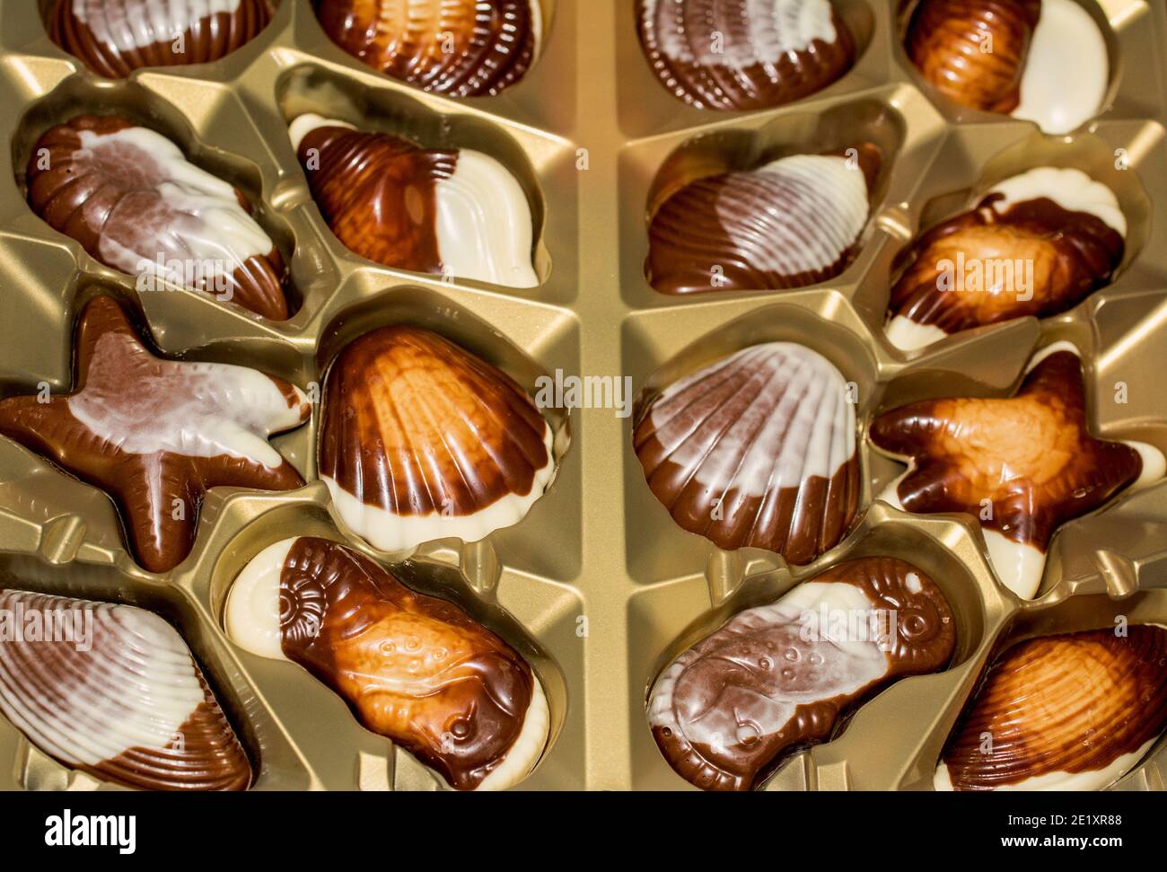 Belgian chocolates seashell hi-res stock photography and images - Alamy