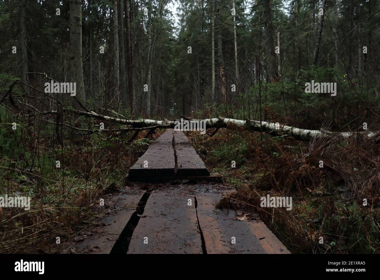 Obstacle Path High Resolution Stock Photography and Images - Alamy