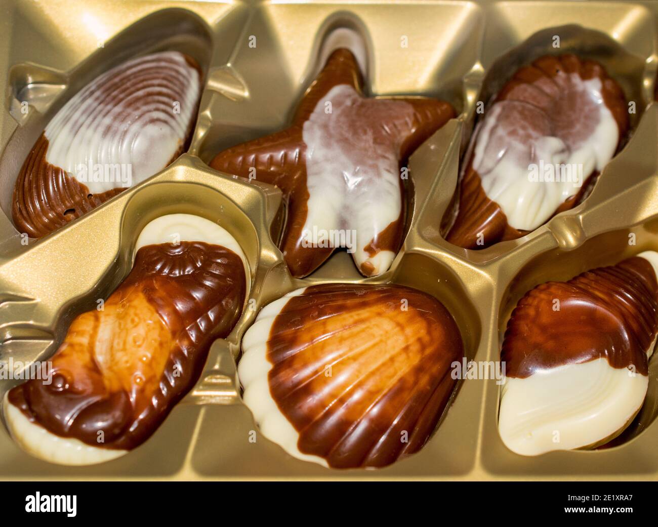 Belgian chocolate candies Seashells. Best quality Stock Photo - Alamy