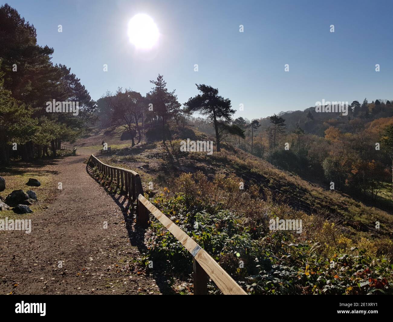 Lickey Hills Country Park, Lickey, Cofton Hackett, Barnt Green Stock ...
