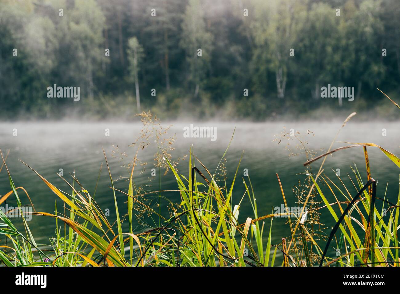 Sunlight beauty water hi-res stock photography and images - Alamy