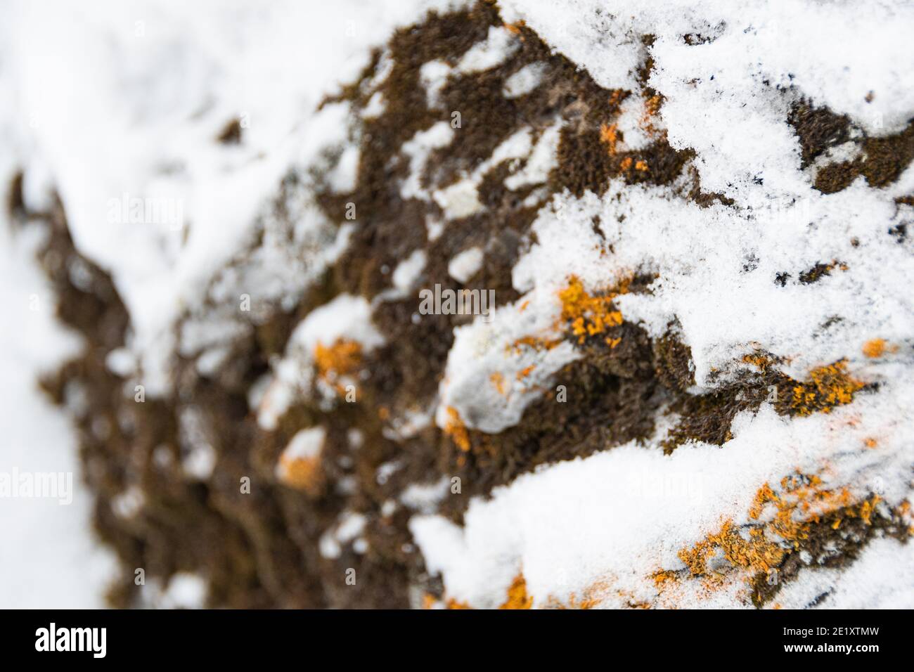 Stone wall with touch of frost on winter day Stock Photo - Alamy