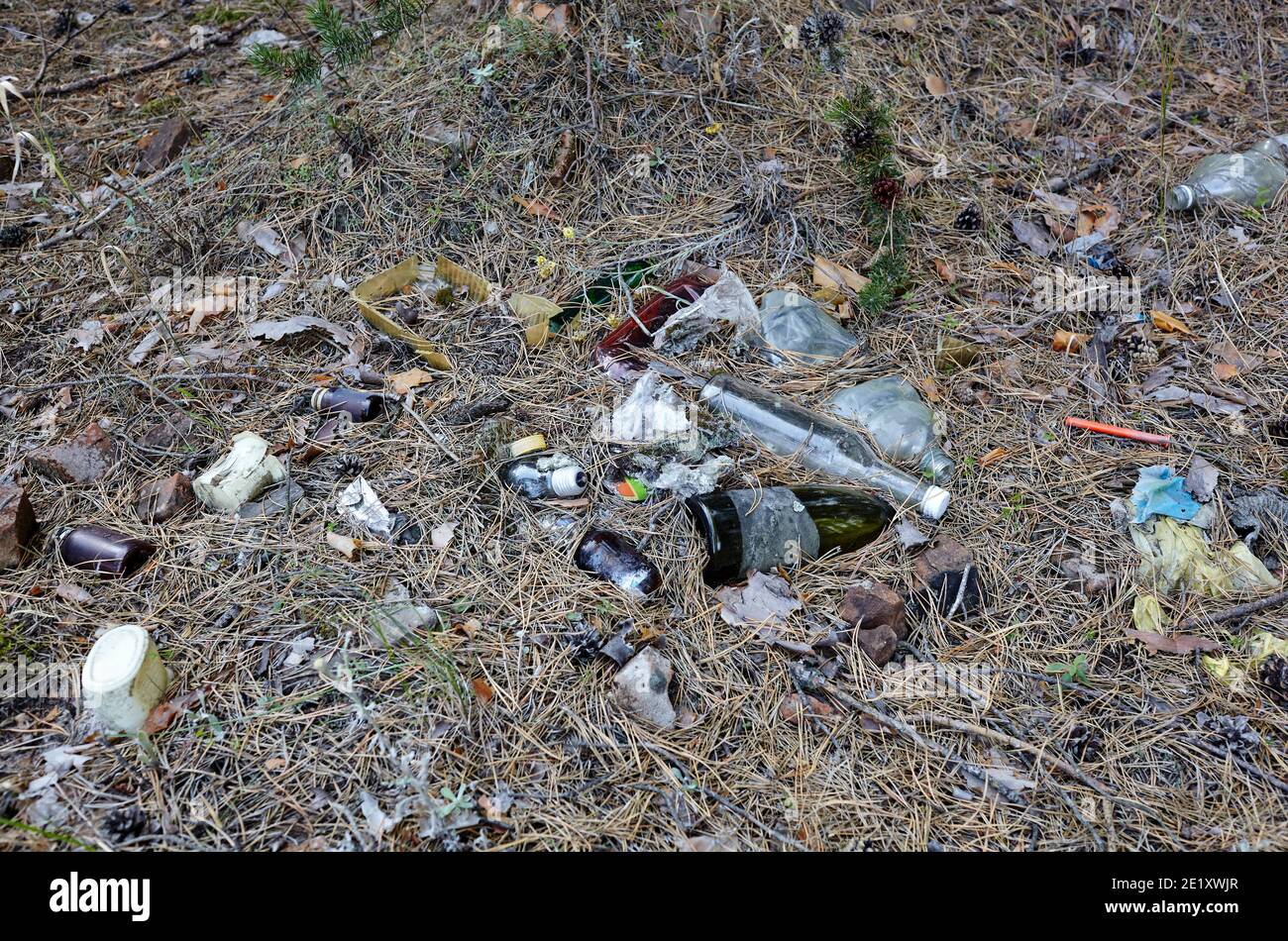 Close-up of garbage in the autumn forest, pollution of nature ...
