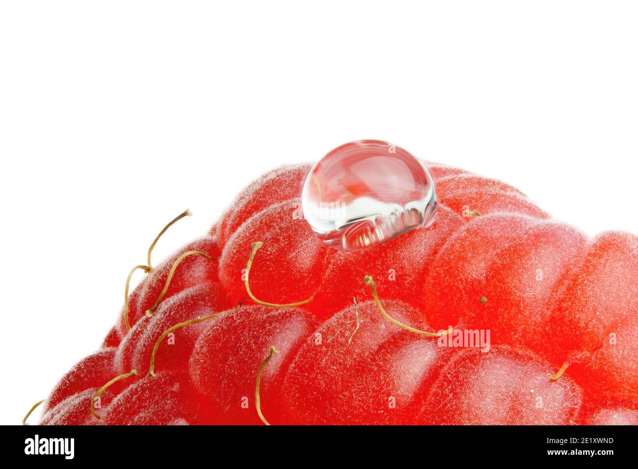Macro close up of a red raspberry with a water drop on top Stock Photo ...