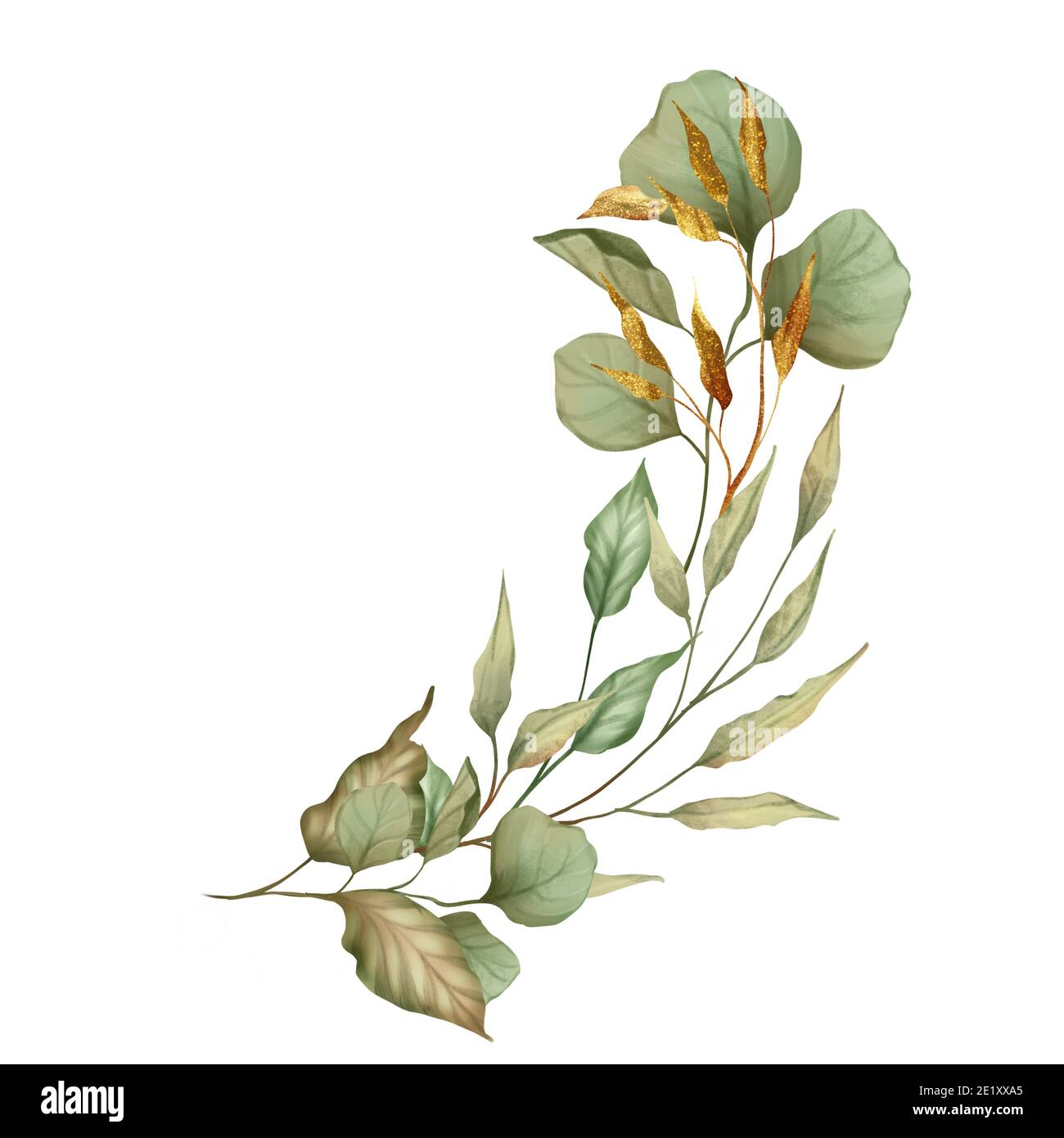 Composition of green and gold leaves. Isolated on white Stock Photo - Alamy