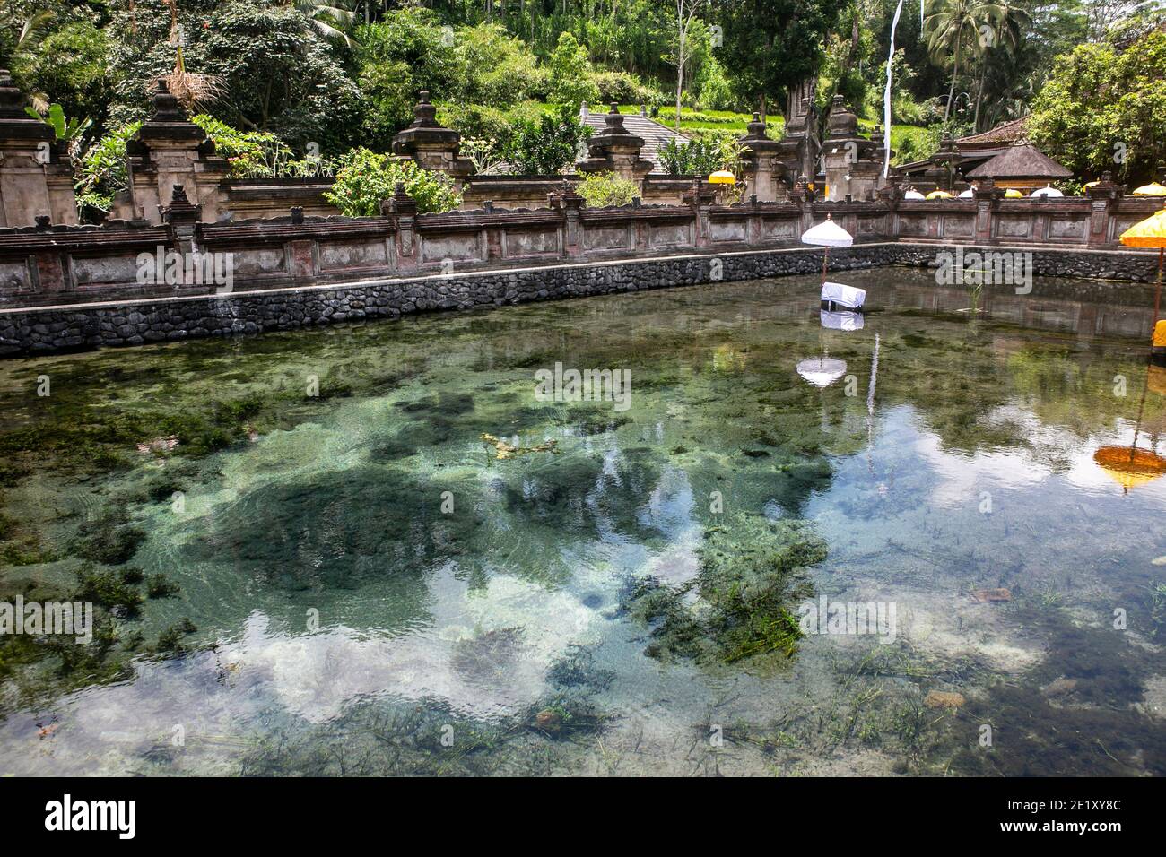 Balinese holy water spring hi-res stock photography and images - Alamy