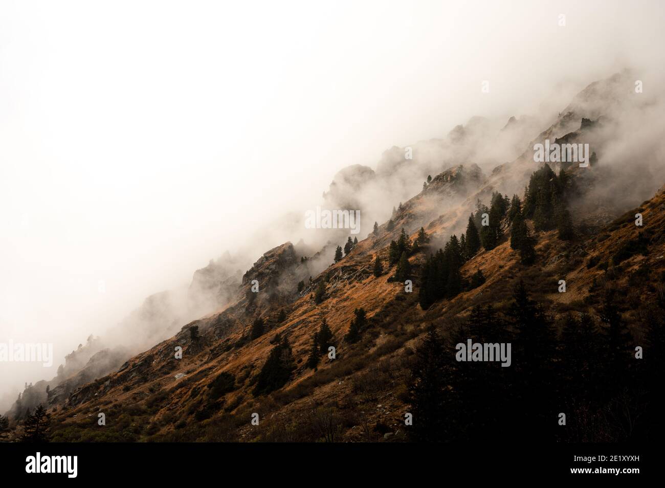 Fall in the alps hi-res stock photography and images - Alamy