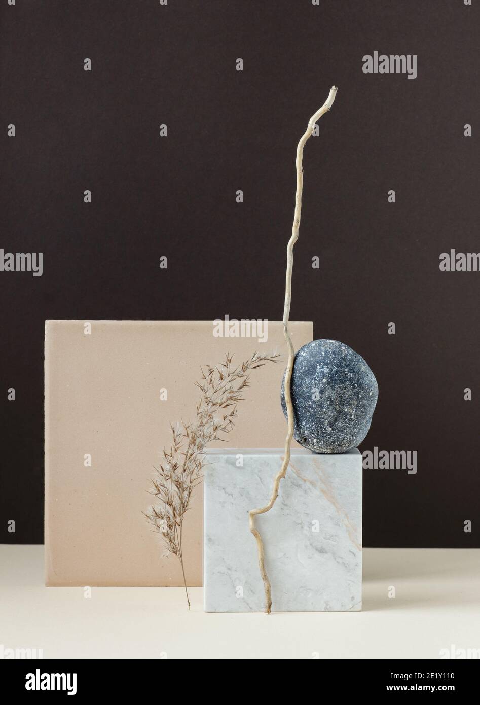 Simple abstract geometric minimalist still life with panicle of a rush ...