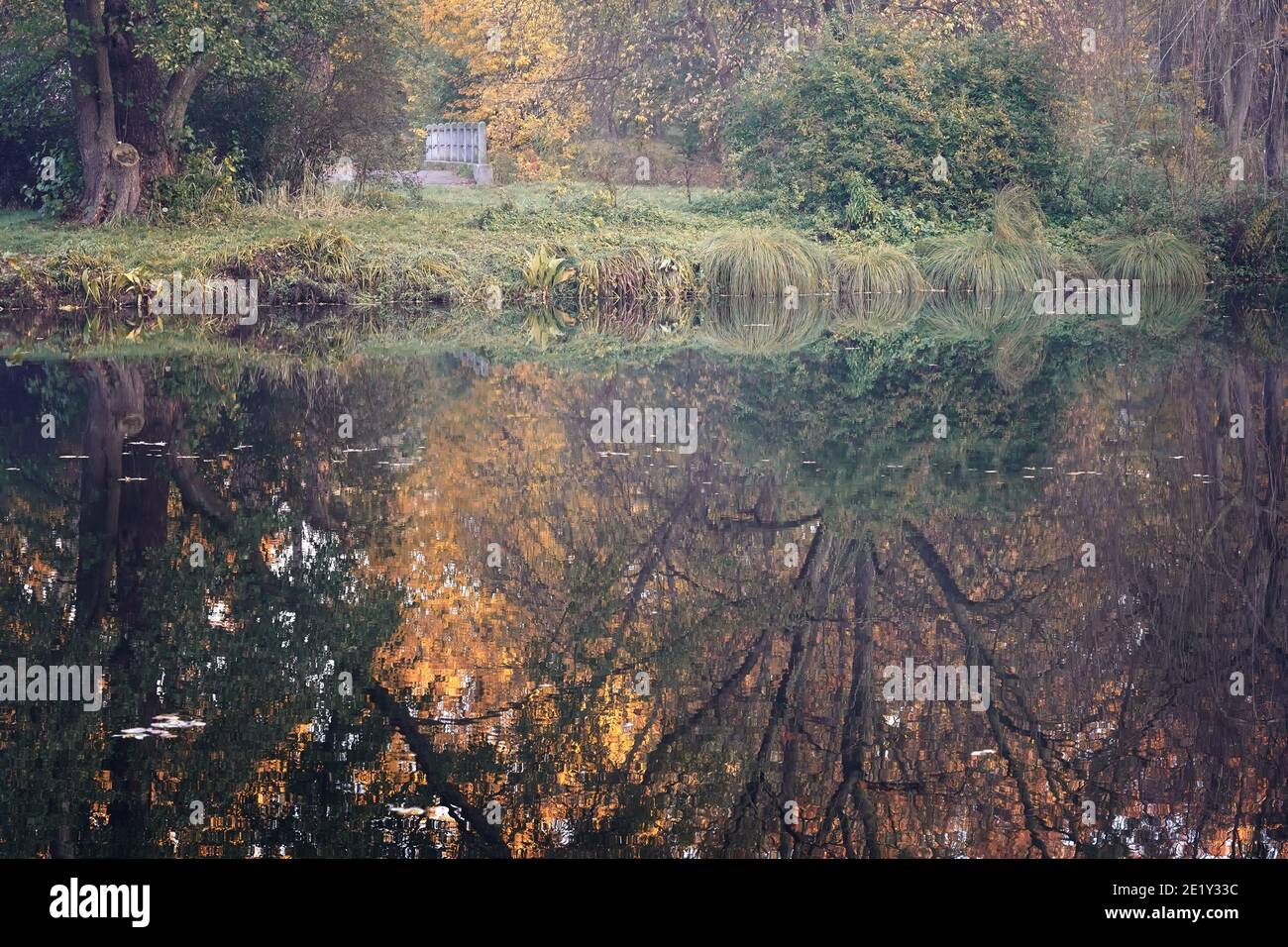 October morning, walk in the autumn park, trees, grasses and colorful ...