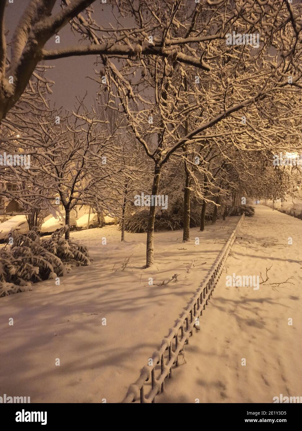 Park and trees with Snow Stock Photo - Alamy