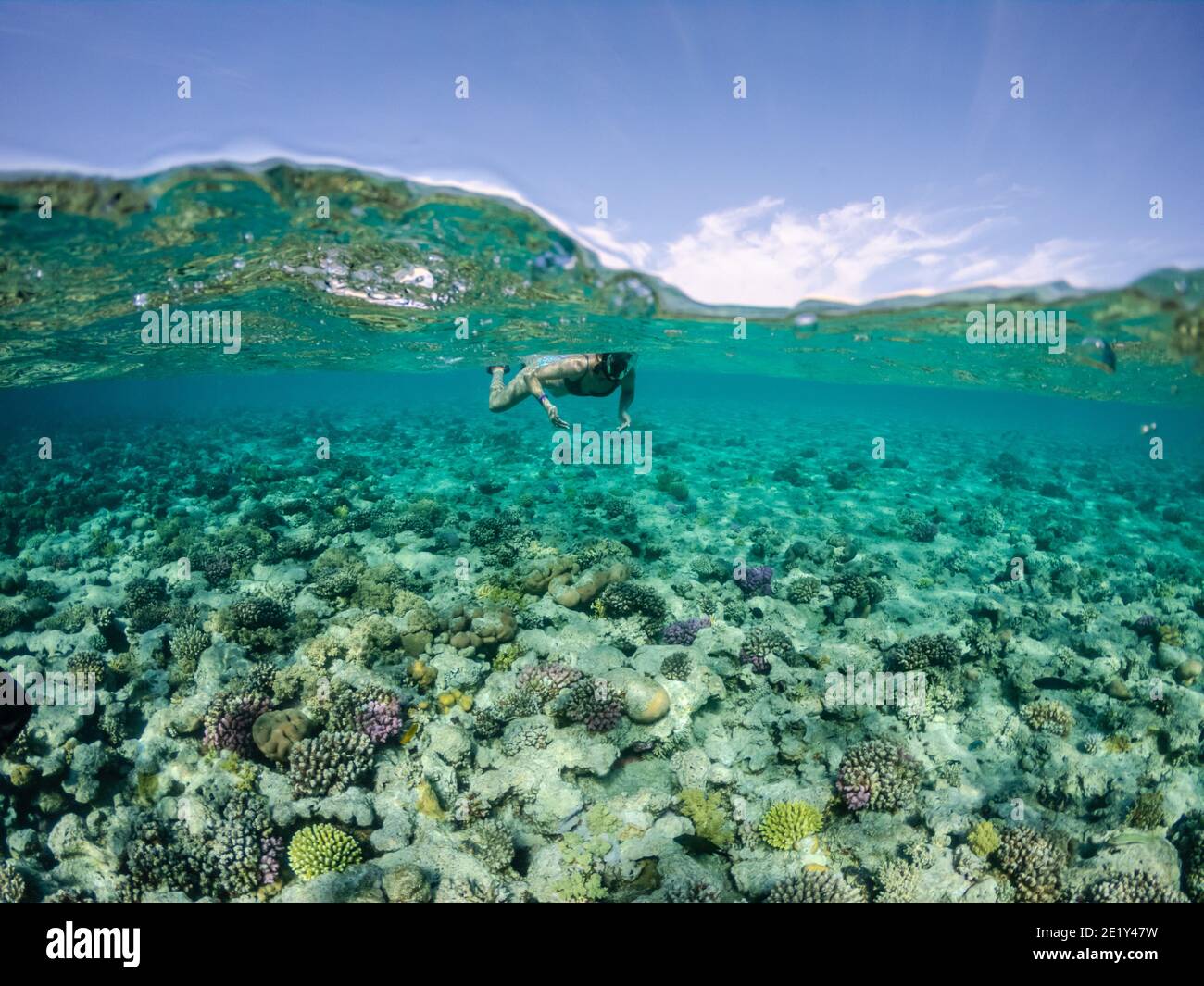 Deep sea cross section hi-res stock photography and images - Alamy