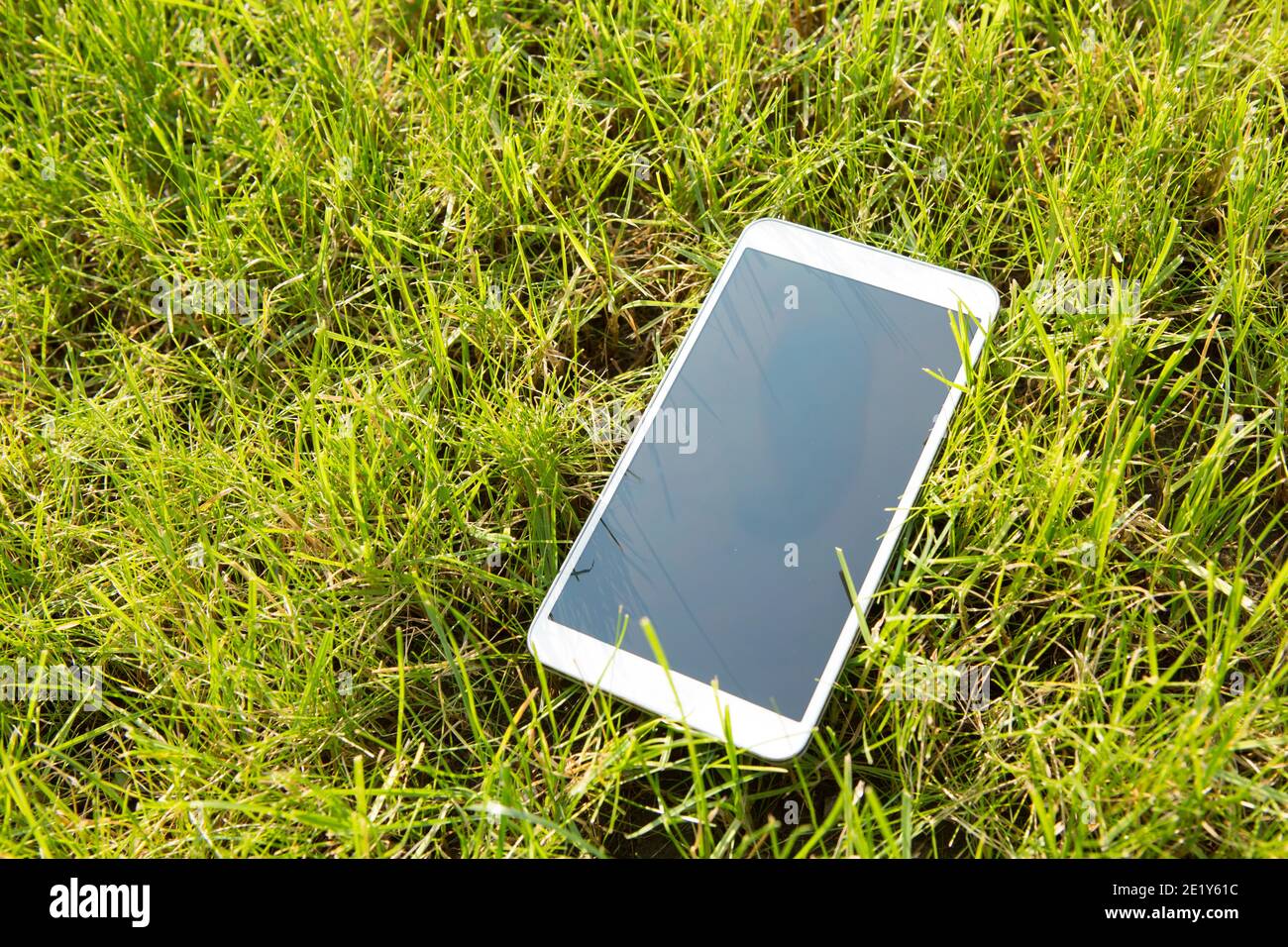 White smartphone with isolated screen on grass background Stock Photo ...