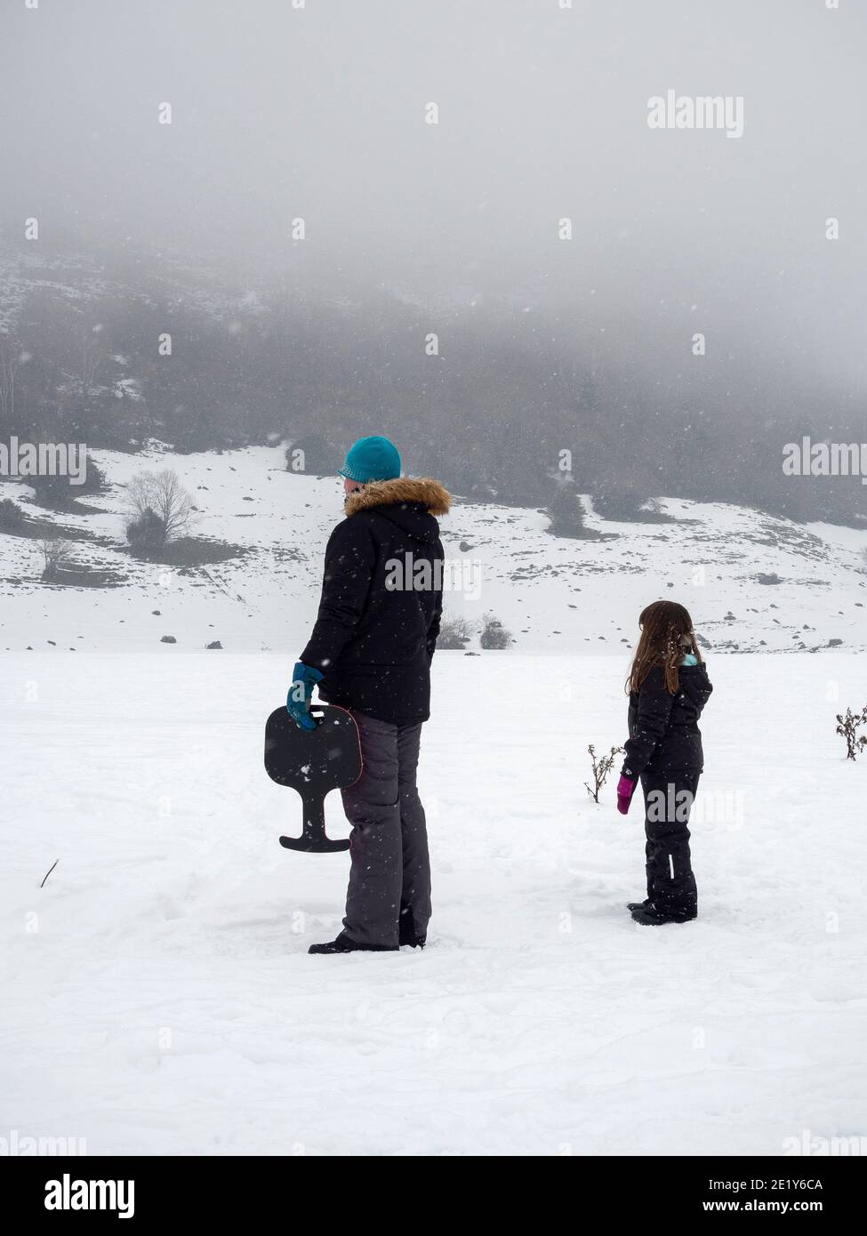Walking snowflake hi-res stock photography and images - Alamy