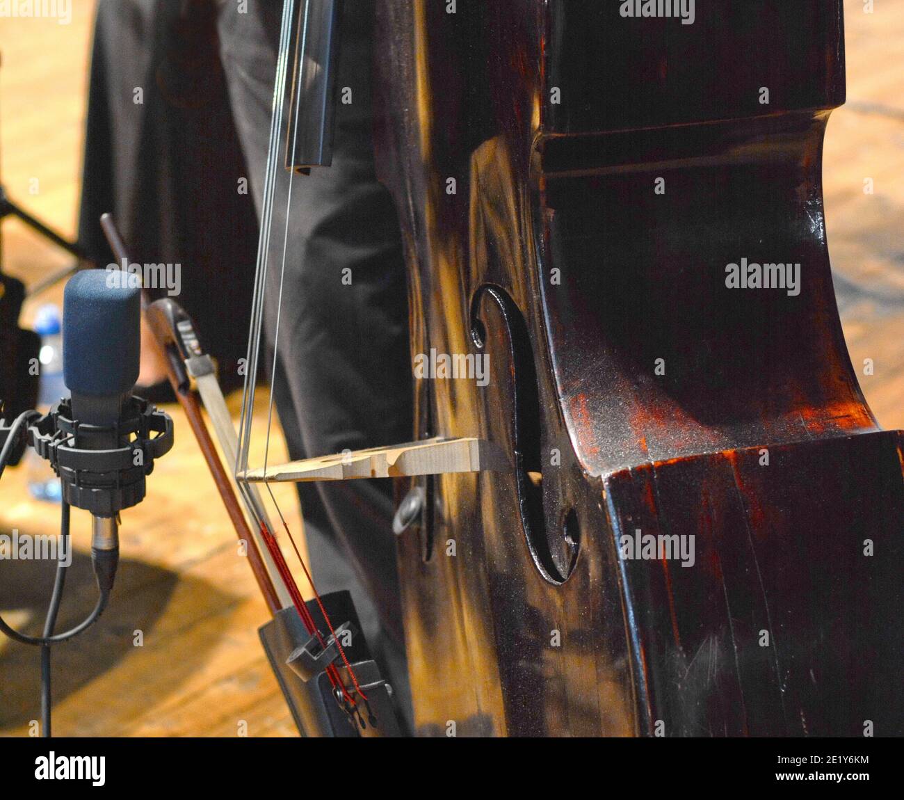 Double bass player playing contrabass in front of the microphone Stock ...