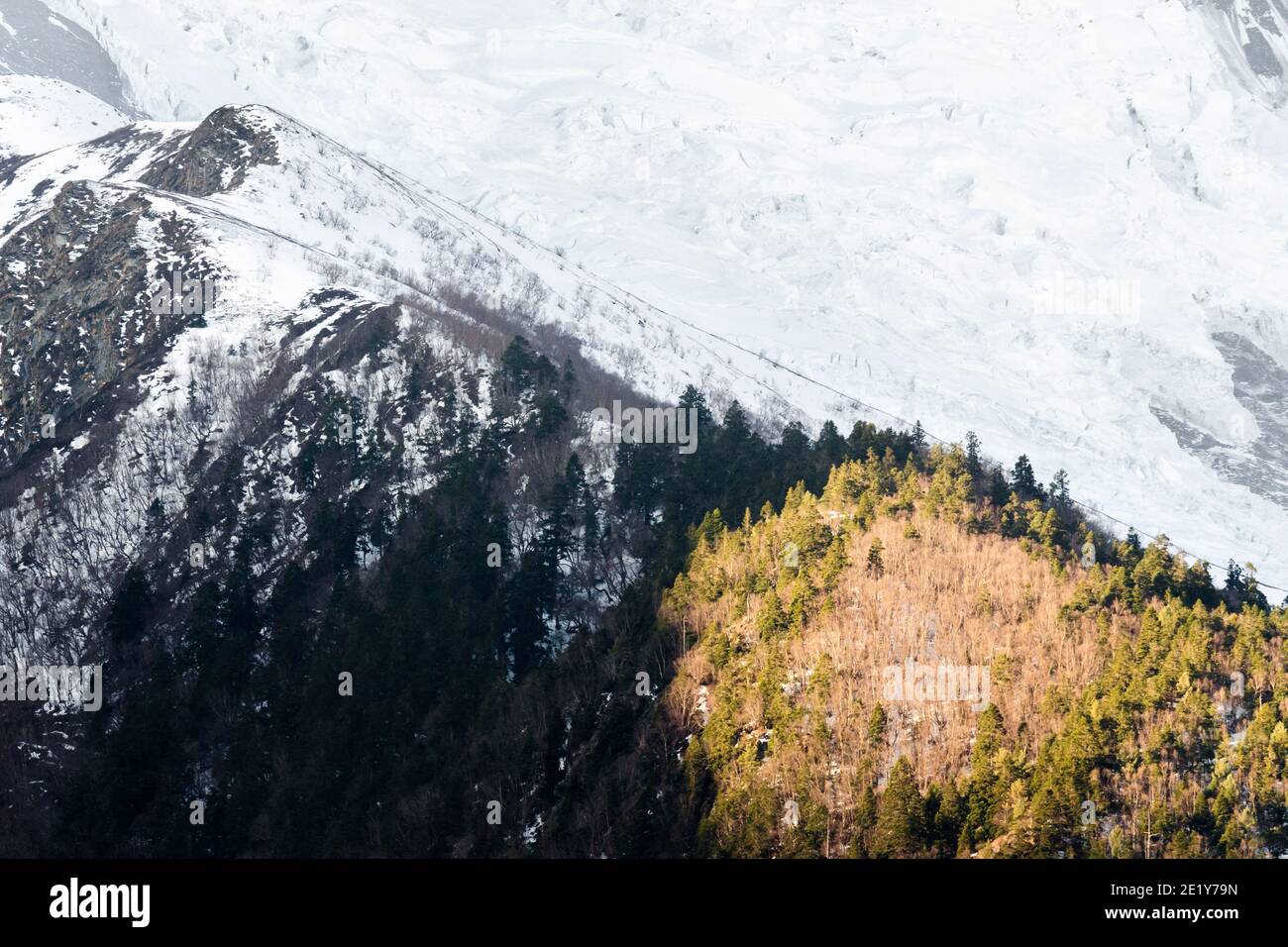 Treeline hi-res stock photography and images - Alamy