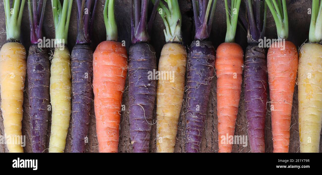 Fresh different colours carrots. Horizontal flat lay on wooden ...