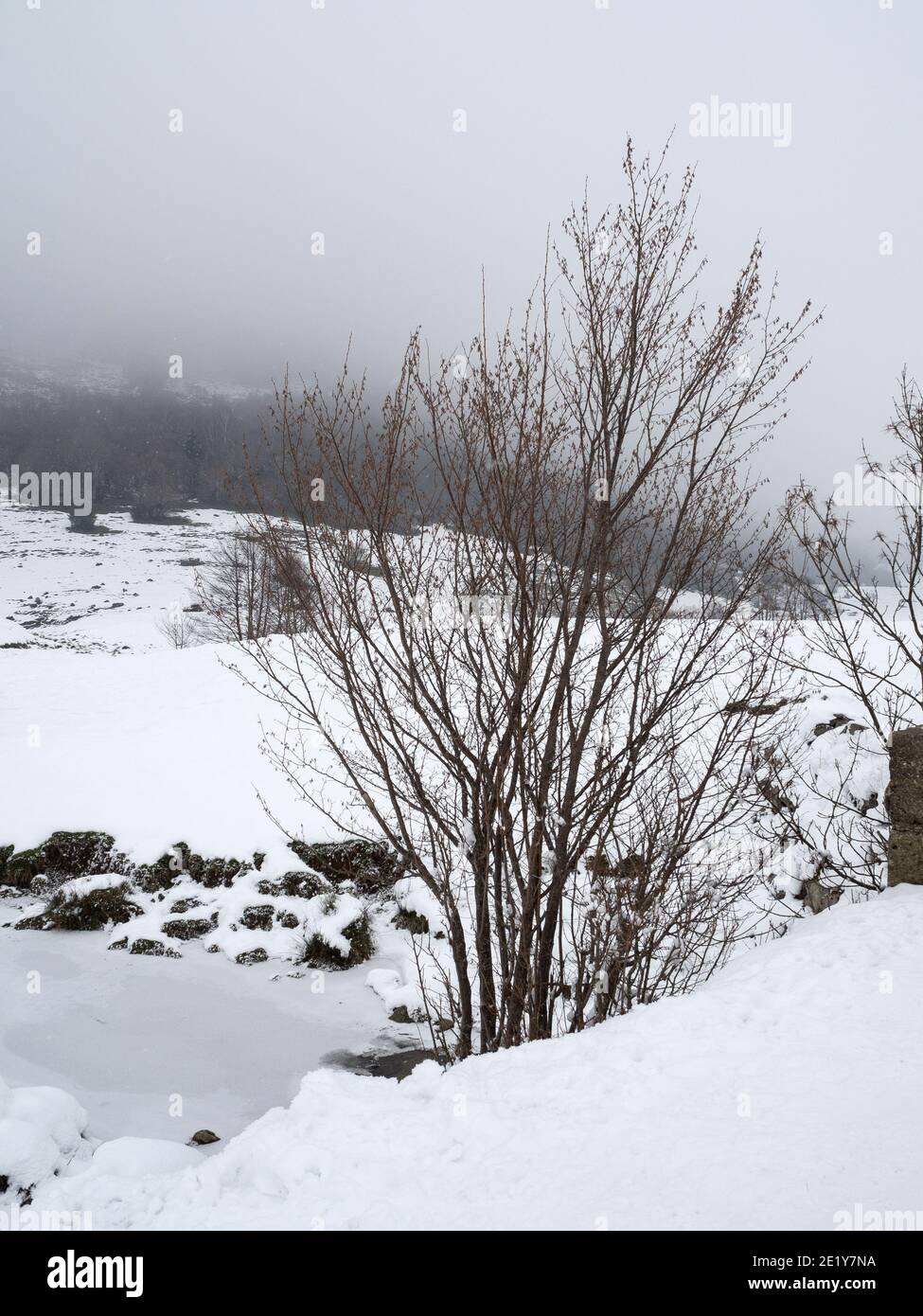 Snowy landscape in the mountains of the atlantic pyrenees Stock Photo ...