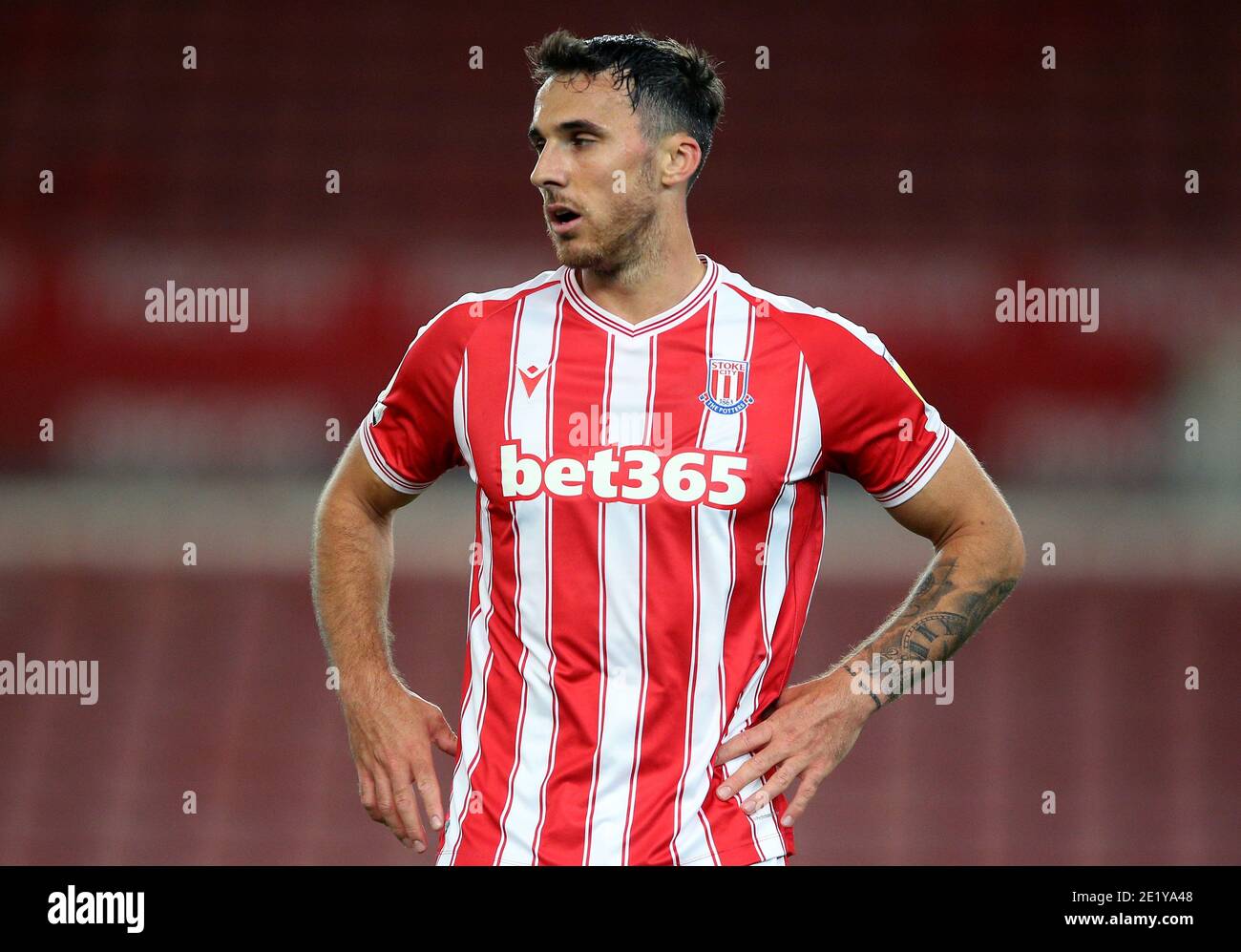 Stoke City's Lee Gregory Stock Photo - Alamy