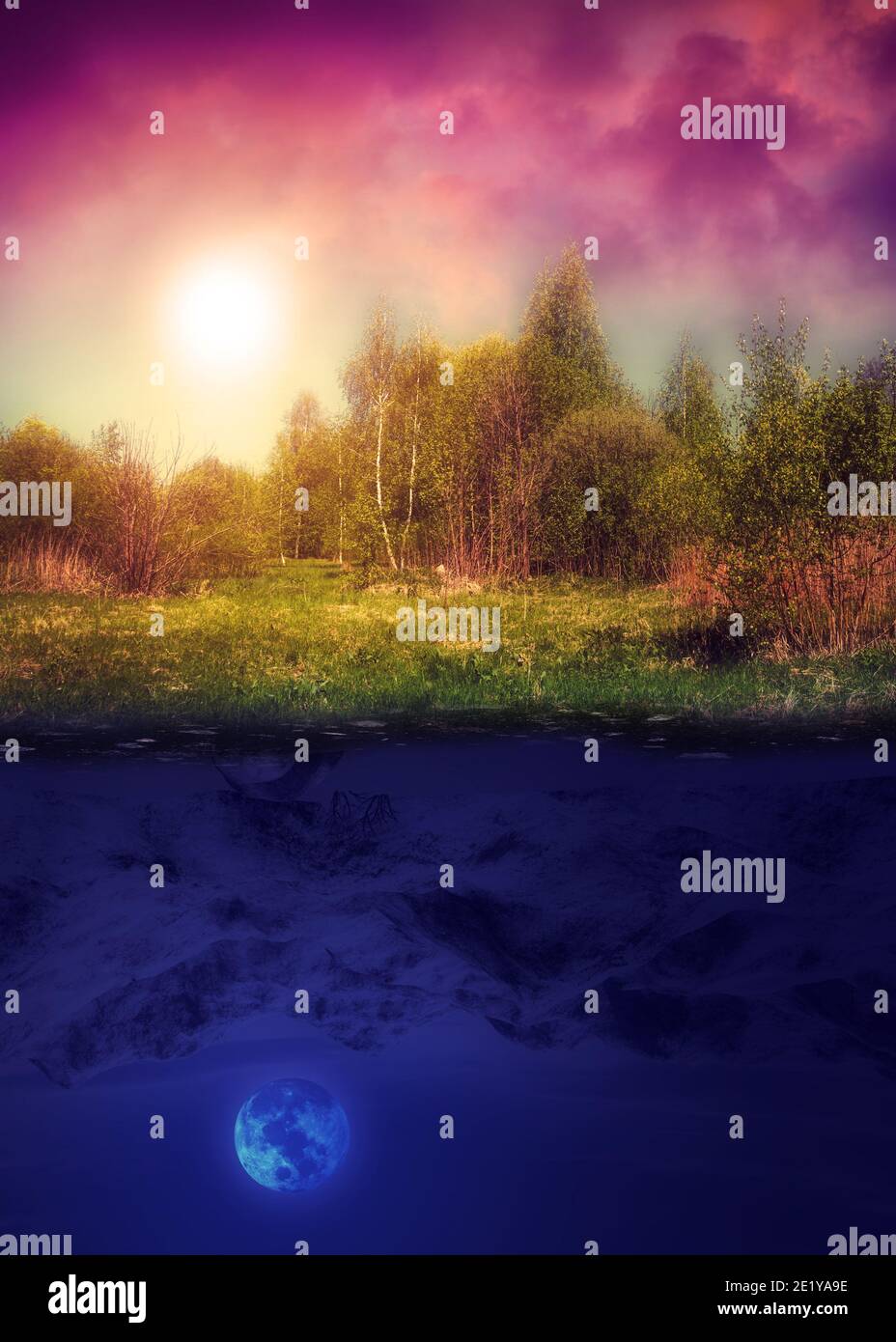 Abstract collage with sunset forest and night snowy mountains in ...