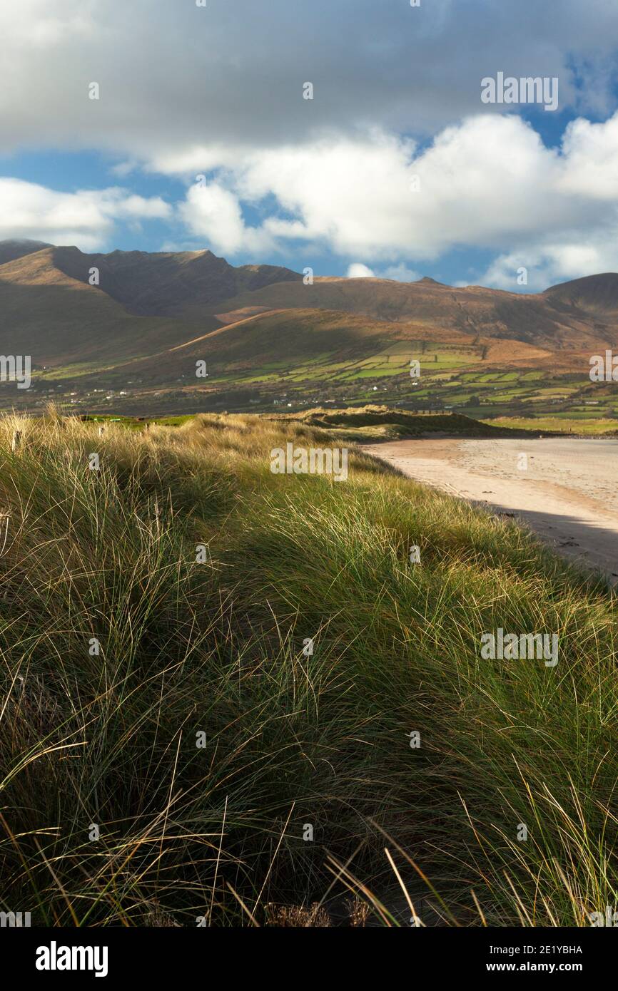 Fermoyle strand hi-res stock photography and images - Alamy