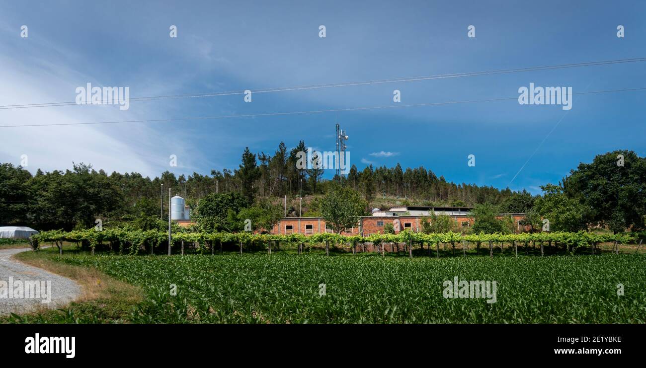 View of a typical farm in northern Spain Stock Photo - Alamy