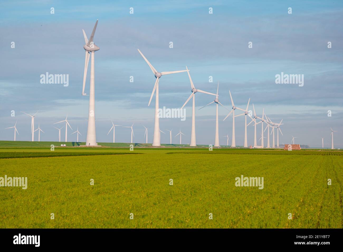 Windmills for electric power production Netherlands Flevoland, Wind ...