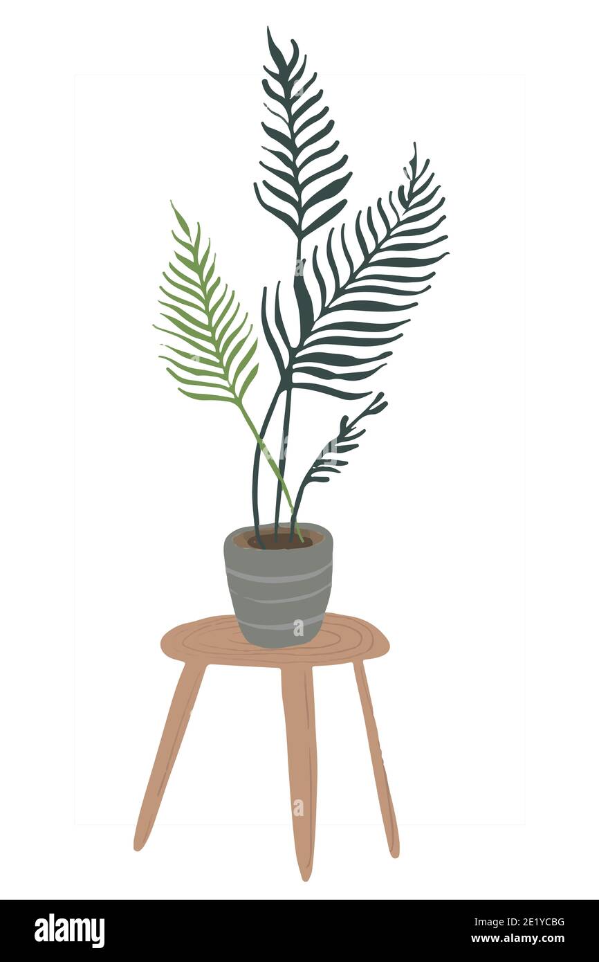 Set of house indoor plant cartoon doodle seamless Stock Photo - Alamy
