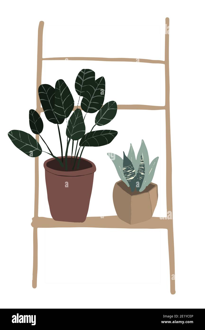 Set of house indoor plant cartoon doodle seamless Stock Photo - Alamy