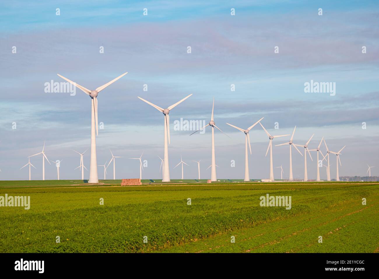 Windmills for electric power production Netherlands Flevoland, Wind ...
