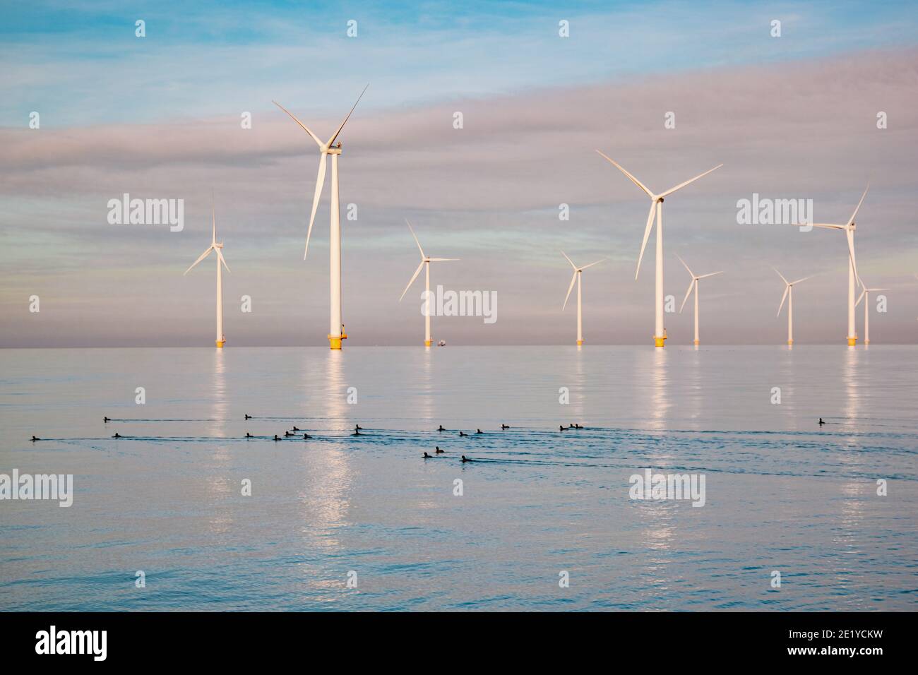 Windmills for electric power production Netherlands Flevoland, Wind ...